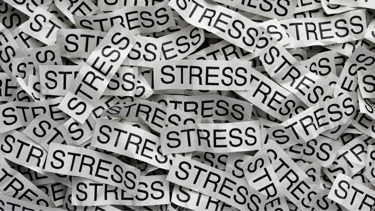 How Stress Affects Your Sex Life And What To Do About It Bed Geek Usa